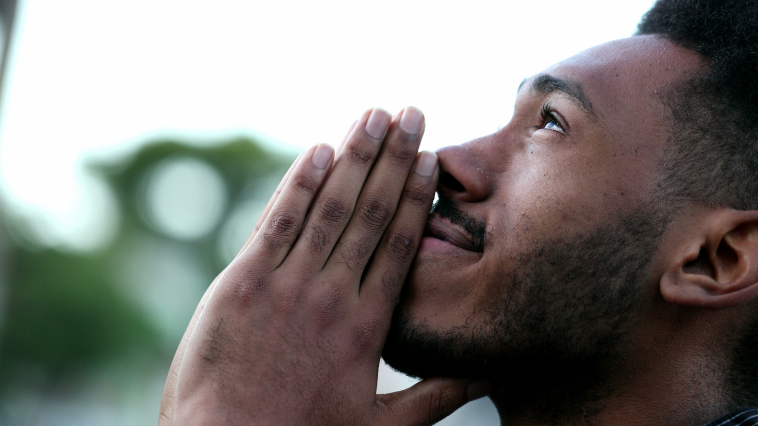 12 Key Lessons from the Prophets on Standing Firm in Faith, Despite ...