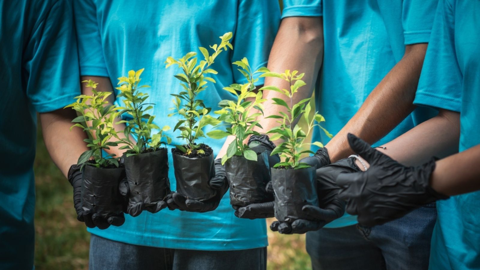 12 Christian Ways to Care for the Environment and Protect Our Planet’s ...
