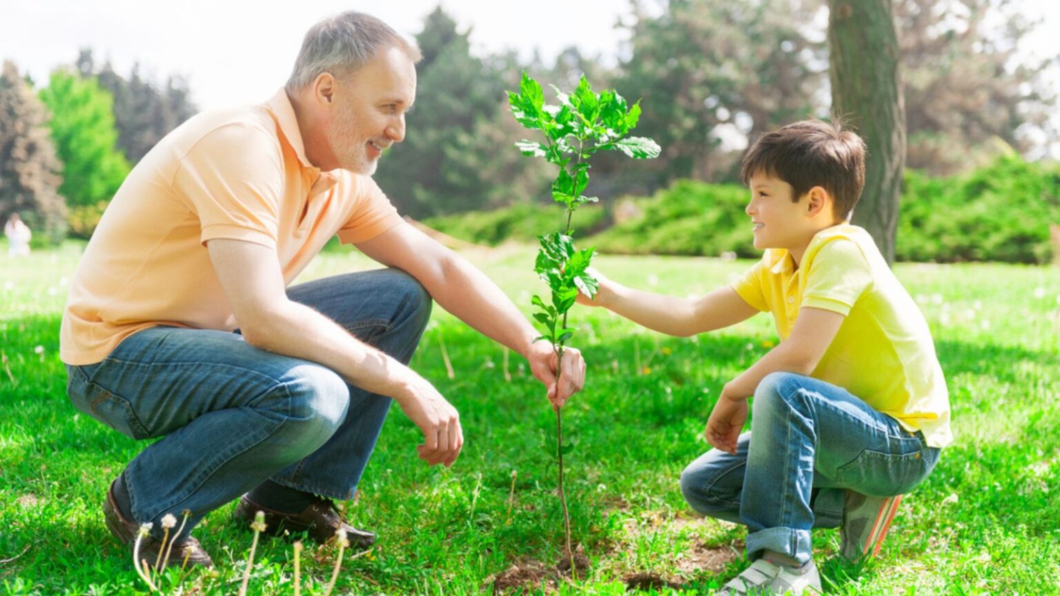 12 Christian Ways to Care for the Environment and Protect Our Planet’s ...