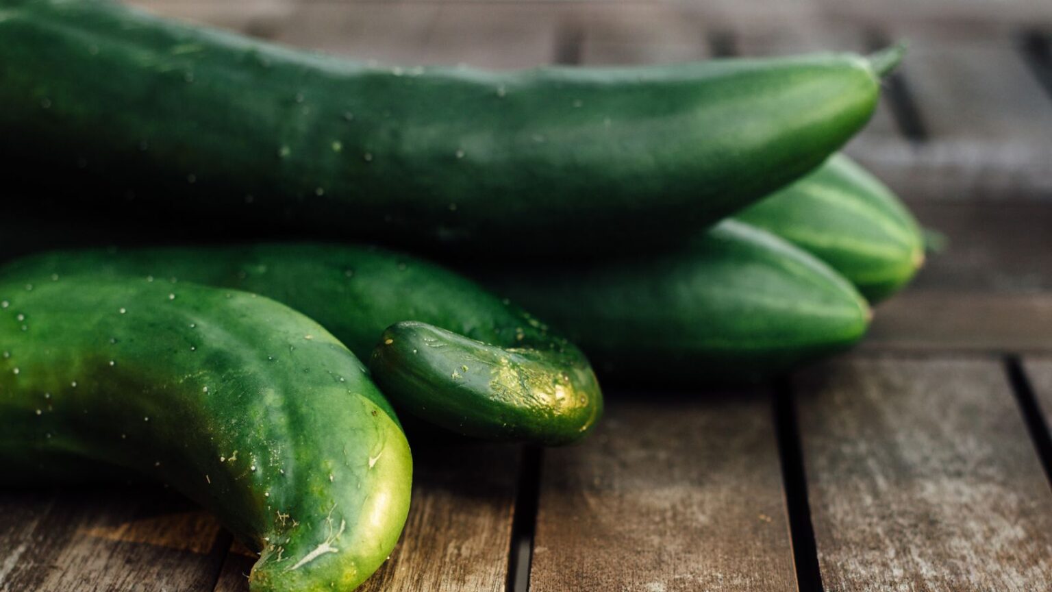 15 Foods Jesus Probably Enjoyed During His Time on Earth ...