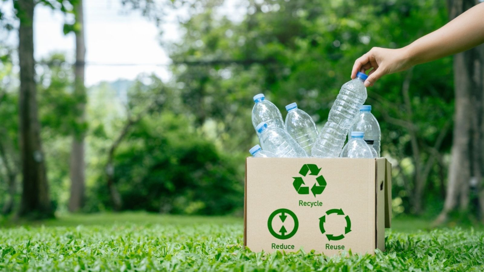 12 Christian Ways to Care for the Environment and Protect Our Planet’s ...