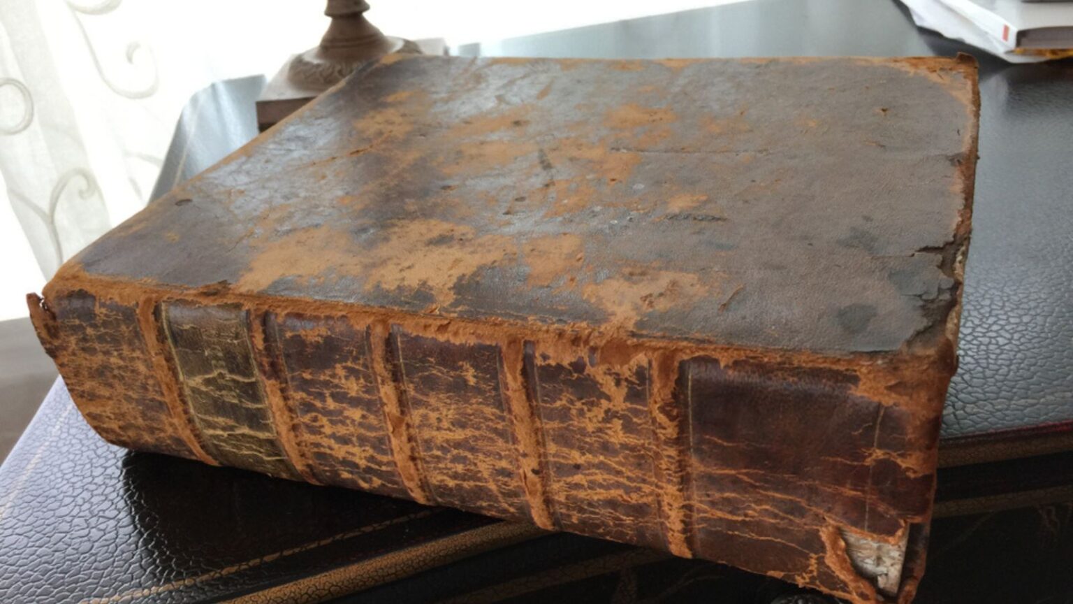 16 Interesting Insights into the History of Bible Translation ...