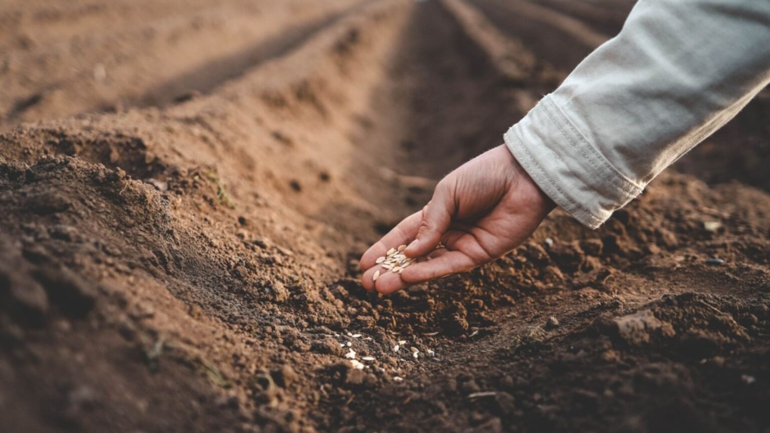 12 Biblical Principles of Sowing and Reaping for Abundant Living ...