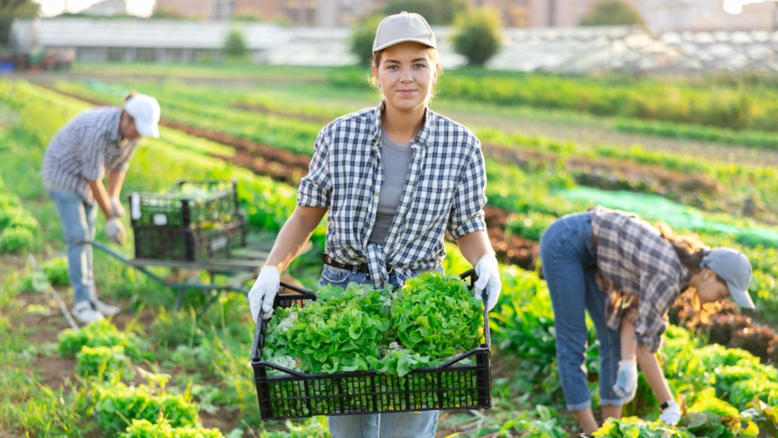 12 Biblical Principles of Sowing and Reaping for Abundant Living ...