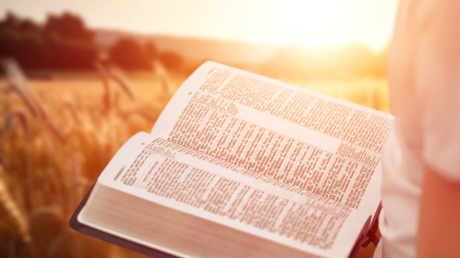 12 Reasons Christians Debate Following the Ten Commandments Today ...