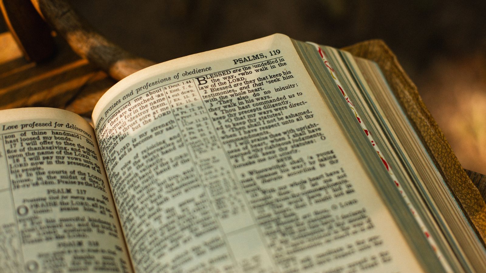 13 Lesser Known Facts About the Book of Psalms - HopeNoMatterWhat.com