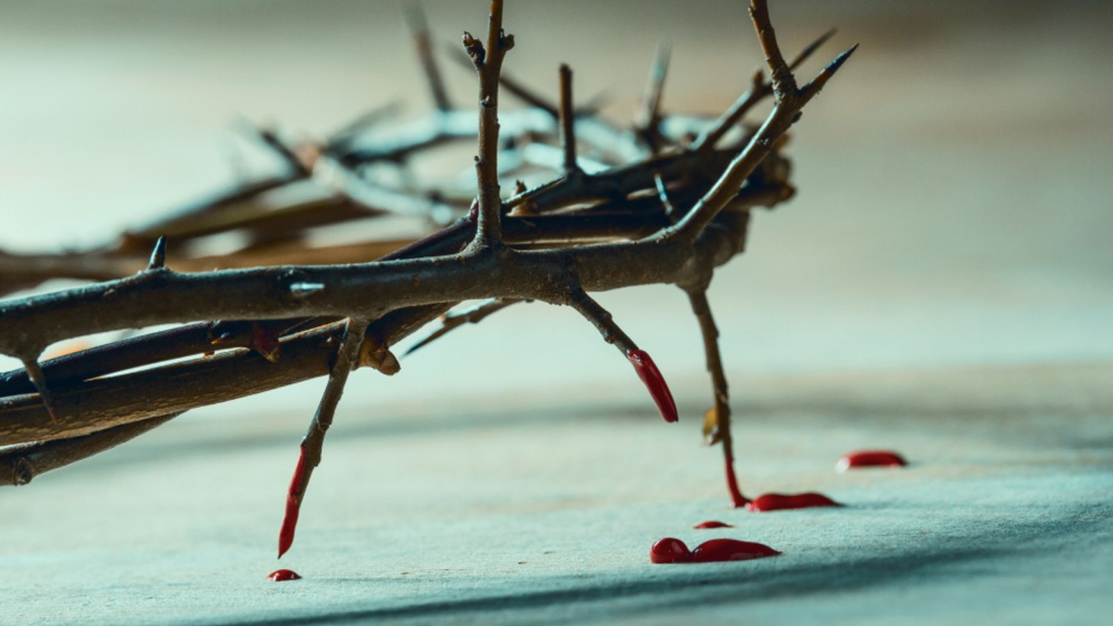 12 Powerful Truths About the Blood of Jesus That Will Change Your Faith ...
