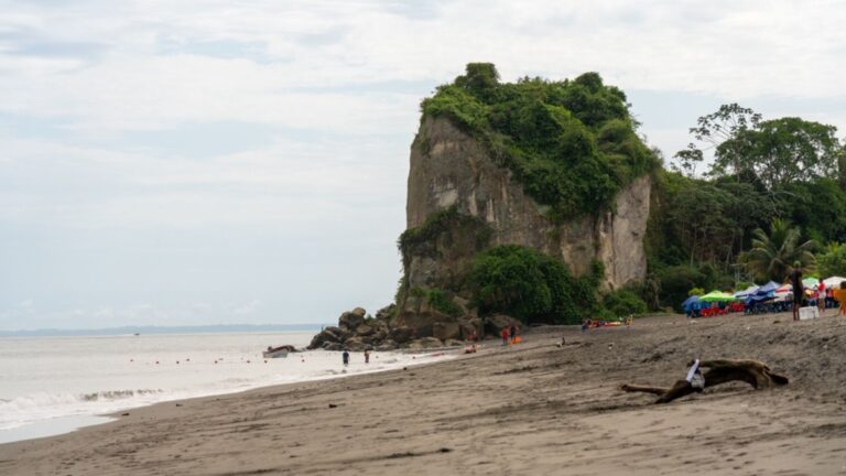 12 Miracles of the Eucharist that Will Strengthen Your Belief ...